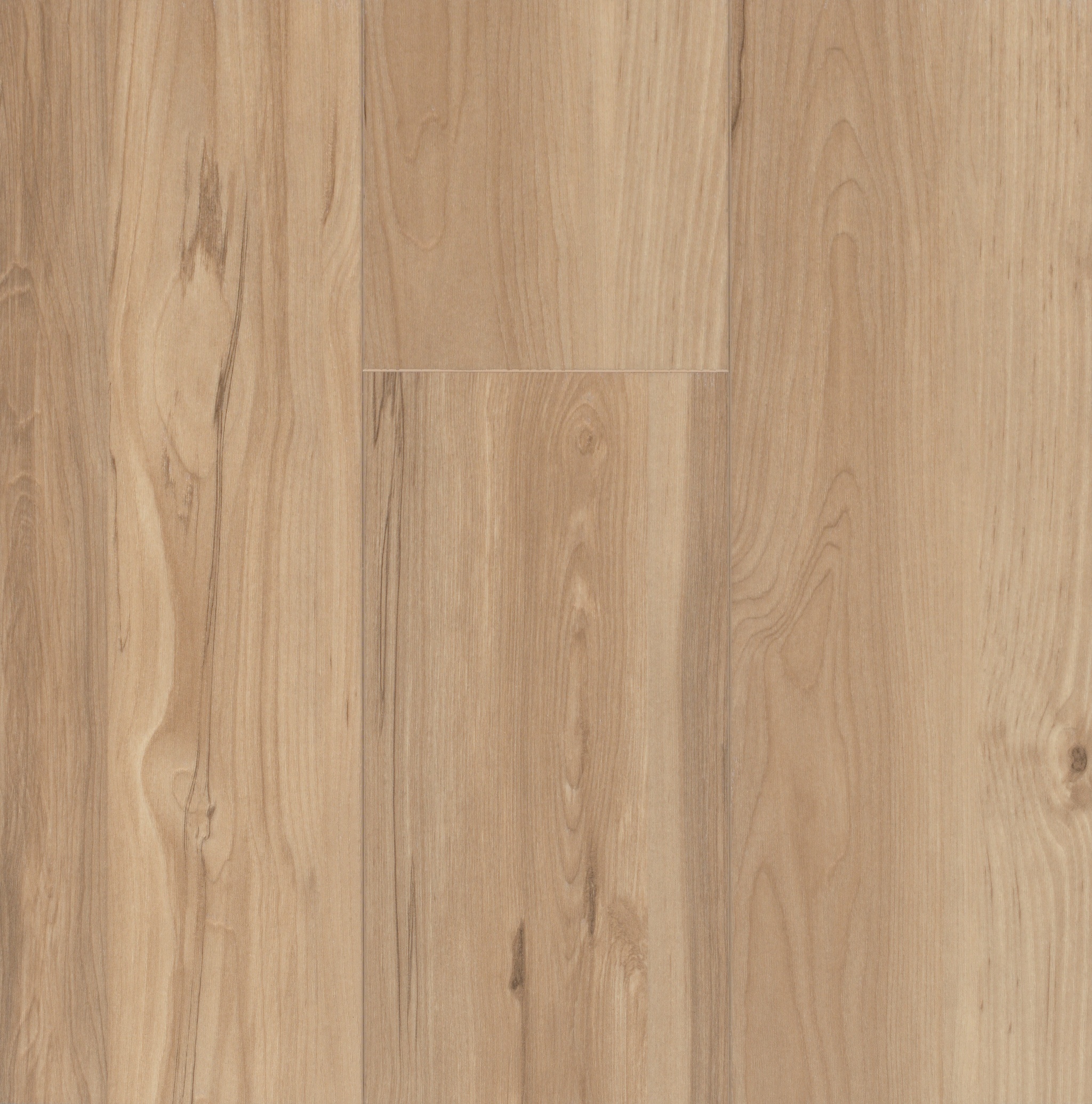 Arctik - Goodfellow Inc.