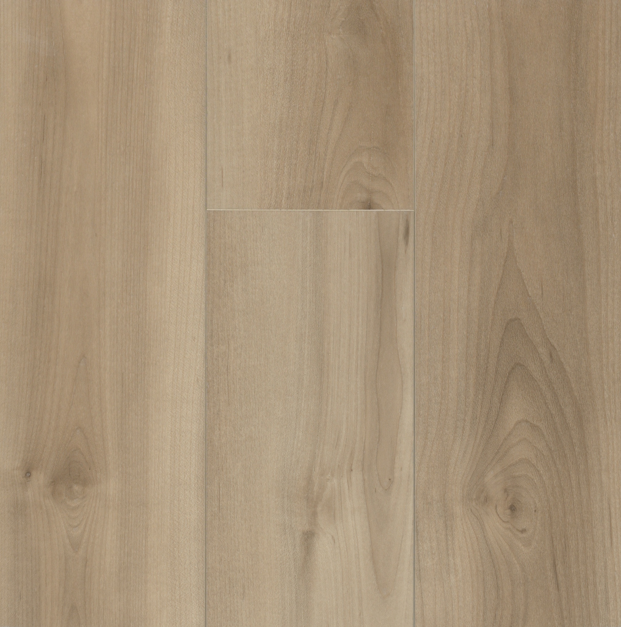 Arctik - Goodfellow Inc.